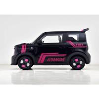 China Panda New Energy Vehicle Pure Electric Left Steering 201-300km NEDC Range 50kW Motor Long Range Cruising for sale