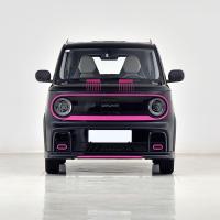 China Geely Panda Karting Pure Electric Hatchback Mini EV 50kW Motor 201-300km Range for sale