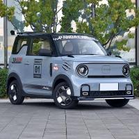China Geely Panda Karting EV 2025 210km Range Electric Mini Car for Adults Cute Sport for sale