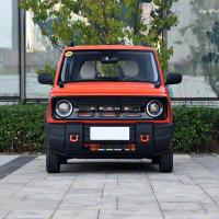 China Panda Knight Mini EV 210km Range 30kWh Battery Fast Charge Off-road Style Electric Car for sale