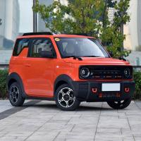 China Geely Panda Knight EV 2025 210km Range Rugged Armor Front Electric City Car for sale