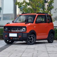 China Geely Panda Knight EV 2025 210km Range Rugged Armor Front Electric City Car for sale