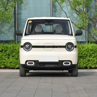 China Panda Mini Electric Car 210km Range 50kW Motor 30kWh Battery Fast Charging New Energy Vehicle for sale