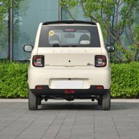 China Panda Mini EV 210km 50kW Electric Mini Car 3 Door 4 Seats Fast Charging City Commute for sale