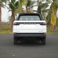 China King Kong RD5 2025 Rear-Wheel Drive Electric Pickup Truck 401-500km Range 250-300kW for sale