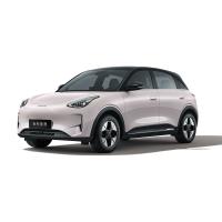 China 2025 Geome Star Wish 310km Range 5-Seater Pure Electric SUV 30-50kWh Battery New Energy Vehicle for sale