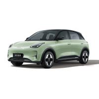 China Geome Star Wish 310km Electric SUV 4 Door 5 Seater 30kWh 50kWh Battery Eco Car for sale