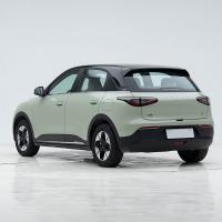 China Geome Star Wish 310km Electric SUV 4 Door 5 Seater 30kWh 50kWh Battery Eco Car for sale