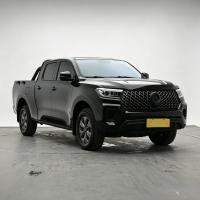 China Used Car Great Wall Pao 2023 2.0T Passenger Edition Automatic Diesel 2WD for Africa Market Multifunctional Car for sale