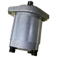 China 281-6269 Hydraulic Gear Pump for CAT M313D M315D M322D Excavator 120 Bar 35 L/min for sale