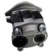 China Industrial Tandem Hydraulic Gear Pump 3P6816 for Excavator D6C D6D D6E 3306 Engine Spare Parts for sale