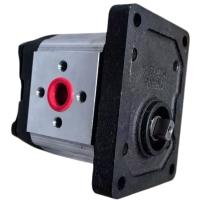 China C901-F310-005 Hydraulic Gear Pump for Construction Machinery 100% Tested for sale