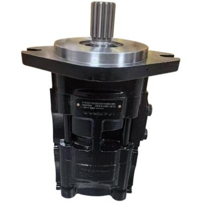 China X1CS0415026C42A1K3B0X3BC Twin Gear Pump 21 MPa 41/26 cc/rev for Construction Machinery for sale