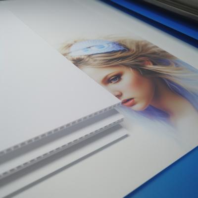 China Customized Corrugated Plastic Sheets Density 300gsm Printing Color Service 12mm for sale