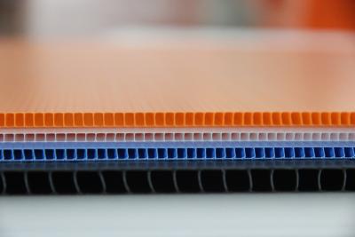 China Waterproof Corrugated Floor Protection , Black Corrugated Polypropylene Floor Protector for sale