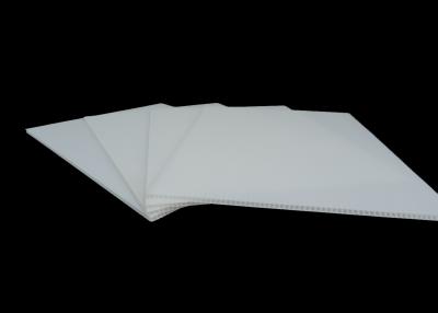 China SGS Reusable White Corrugated Plastic Board 18x24