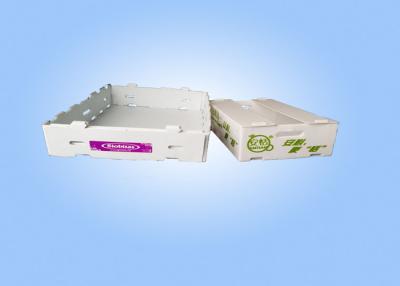 China Recyclable Corrugated Plastic Storage Boxes Corflute Storage Boxes for sale