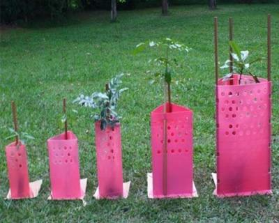 China Waterproof Corrugated Plastic Tree Guards Wrap 2mm for sale