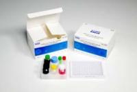 China 96 Tests 60 Min IgG Elisa Kit COVID-19 Test Human Serum Sample for sale