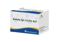 China Laboratory Or Hospital High Accuracy Rubella IgG ELISA TEST KIT for sale
