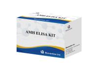China Serum AMH Anti Mullerian Hormone Test Elisa Test Kit BIOVANTION for sale