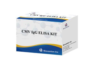 China Laboratory Or Hospital High Accuracy CMV IgG Elisa Test Kit for sale