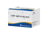 China Laboratory Or Hospital High Precision Antibody IgM To Cytomegalovirus (CMV) ELISA TEST KIT for sale