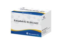 China E2 ELISA Test Kit In Vitro Detection Medical Detection High Precision for sale