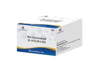 China Rat IL-8 Interleukin 8 Elisa Kit CXCL8 Elisa Test Kits Chemokine (C-X-C Motif) Ligand 8 for sale