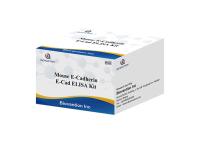 China Mouse E Cad E Cadherin Elisa Kit Research Use Only Sandwich Method for sale