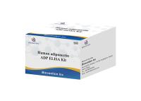China Adiponectin RUO Test Kit ADP/ACDC/ACRP30/APM1/GBP28/ADIPOQ ELISA Kit for sale