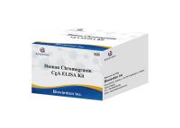 China CgA ELISA RUO Test Kit Human Chromogranin A Elisa Kit Pituitary Secretory Protein I for sale