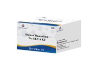 China Human Trx Thioredoxin ELISA Thioredoxin Assay Kit RUO Test Kit for sale