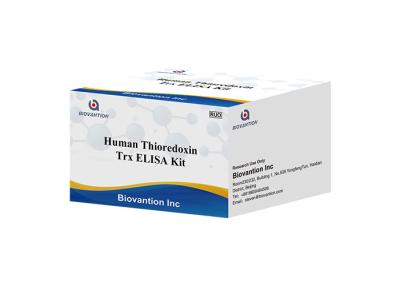 China Human Trx Thioredoxin ELISA Thioredoxin Assay Kit RUO Test Kit for sale