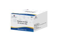 China 96 Wells FE Ferritin Elisa Test Human Ferritin Elisa Kit for sale
