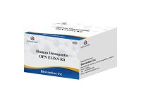 China 48 Wells Human Osteopontin Elisa Kit OPN / Secreted Phosphoprotein 1/SPP-1 for sale