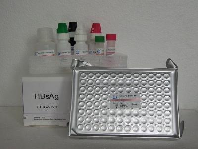 China ELISA detection reagent kit High Accuracy HBsAg Elisa Test Kit for sale