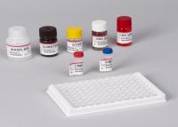 China For Laboratory Or Hospital Use Dia Sino Inhibin B ELISA Test Elisa Test Kit for sale
