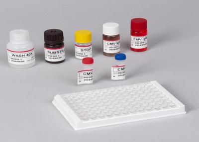 China For Laboratory Or Hospital Use Dia Sino Inhibin B ELISA Test Elisa Test Kit for sale