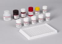 China 25-Hydroxyvitamin D Total Elisa Test Kit For Laboratory Or Hospital Use for sale
