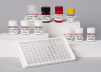 China Laboratory Or Hospital High Precision HBsAb Quantitative ELISA Test Kit for sale