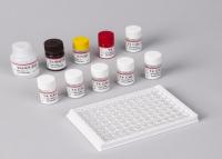 China Medical Consumables Accurately Detect Ovulation LH Elisa Test Kit for sale