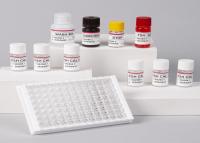 China Laboratory Or Hospital High Accuracy CA19-9 Elisa Test Kit for sale