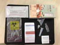China 25pcs Saliva COVID-19 Test 15Mins COVID19 Rapid Test Kit for sale