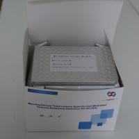 China TB-IGRA Elisa kit Fast and Accurate Results for Diagnosis for sale