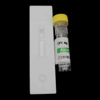 China Cassette Canine Parvovirus Veterinary Rapid Test Kits 10 Minutes Test Time for sale