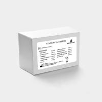 China Laboratory Or Hospital High Accuracy CEA Quantitative ELISA Test Kit for sale