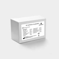 China HAV IgM ELISA RUO Test Kit Rapid Diagnostic for sale