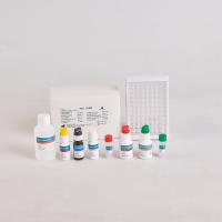China RUO Anti HCV Elisa Kit for sale