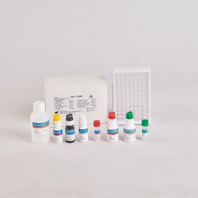 China RUO Anti HCV Elisa Kit for sale